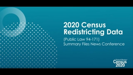 Decennial Census P.L. 94-171 Redistricting Data Summary Files