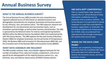 Business and Economy Flyers