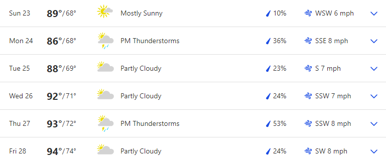 What’s Happening in the Area