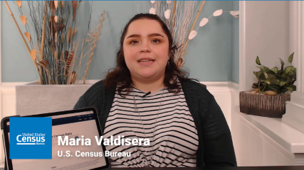 Decennial Census P.L. 94-171 Redistricting Data Summary Files