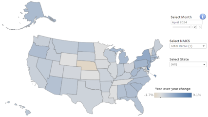Census Infographics & Visualizations