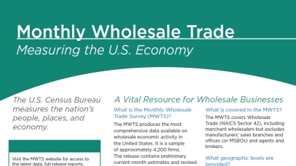 Business and Economy Flyers